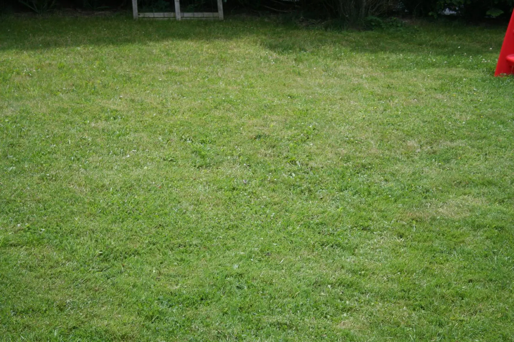 Satteres Grün im Rasen?!?!?! Wie krieg ich das hin??? - Hausgarten.net