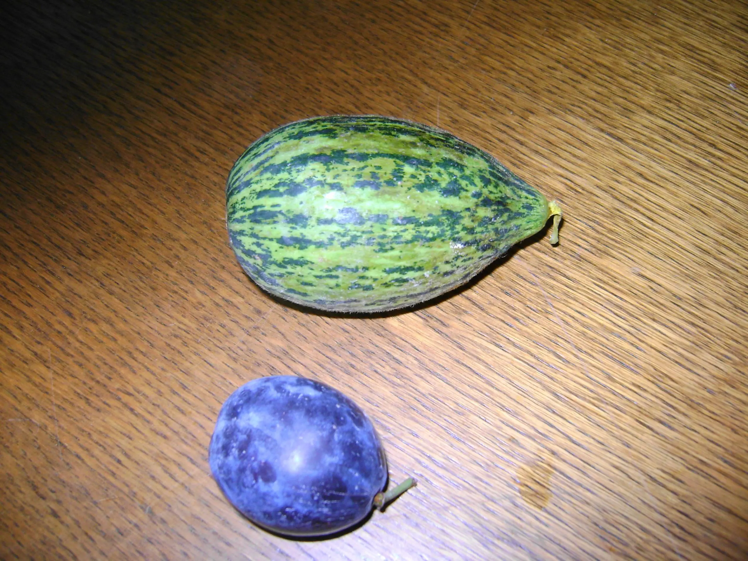 Mini Melone